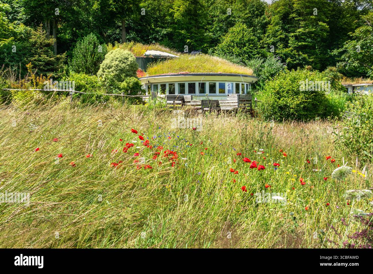 Located on the white cliffs of dover hi-res stock photography and ...