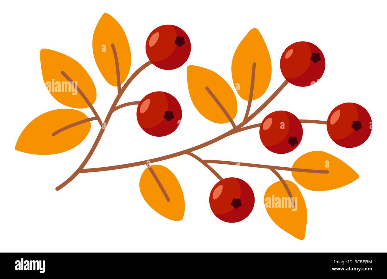 Yellow fall leaves branch Cut Out Stock Images & Pictures - Alamy