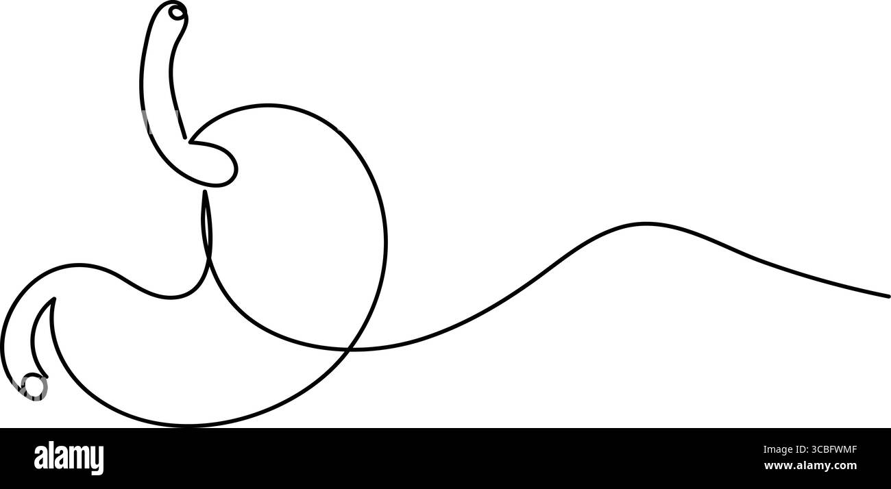 Human stomach icon continuous one line drawing for anatomy and medical ...