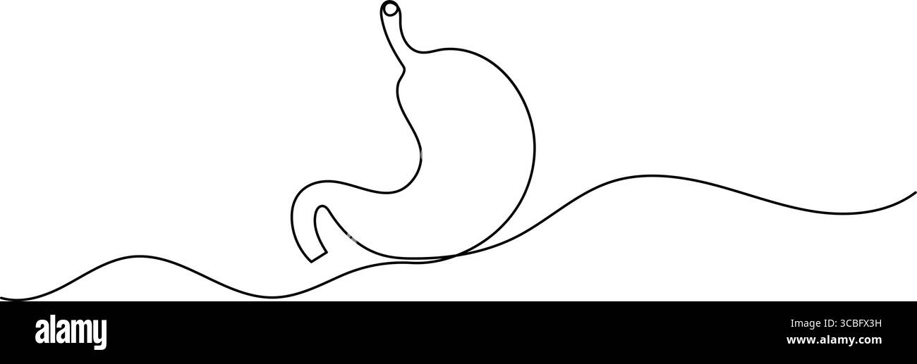 Human stomach icon continuous one line drawing for anatomy and medical ...