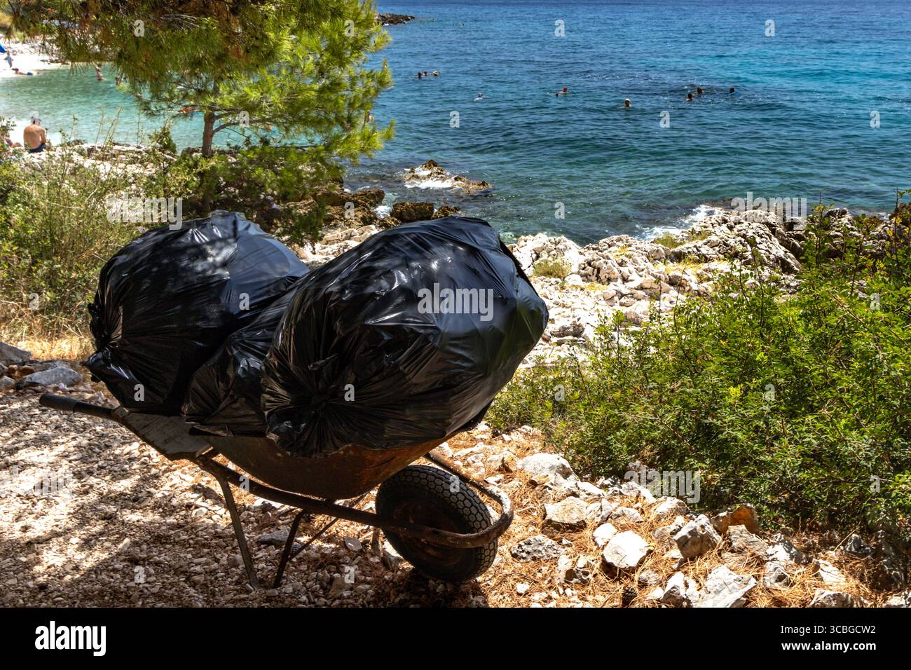 Black garbage bags collected on the beach, beach waste removed in a ...