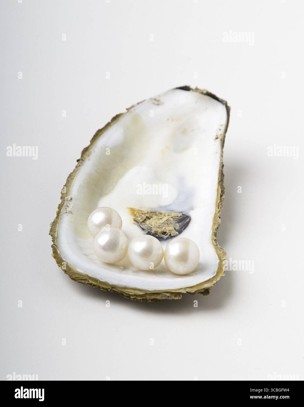 Open oyster white pearl hi-res stock photography and images - Alamy