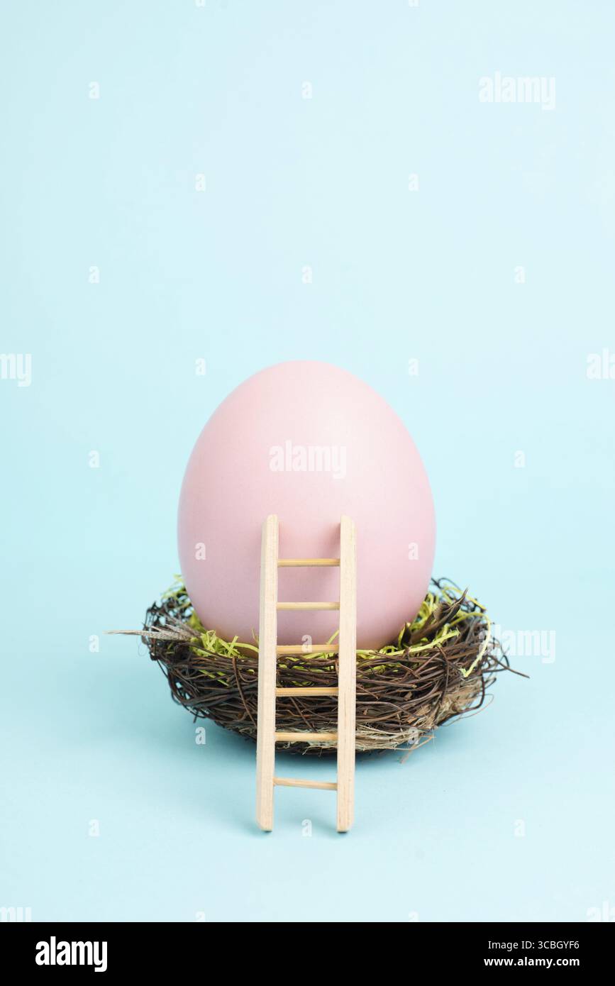 Huge pink colored easter egg in a birds nest and a wooden ladder ...
