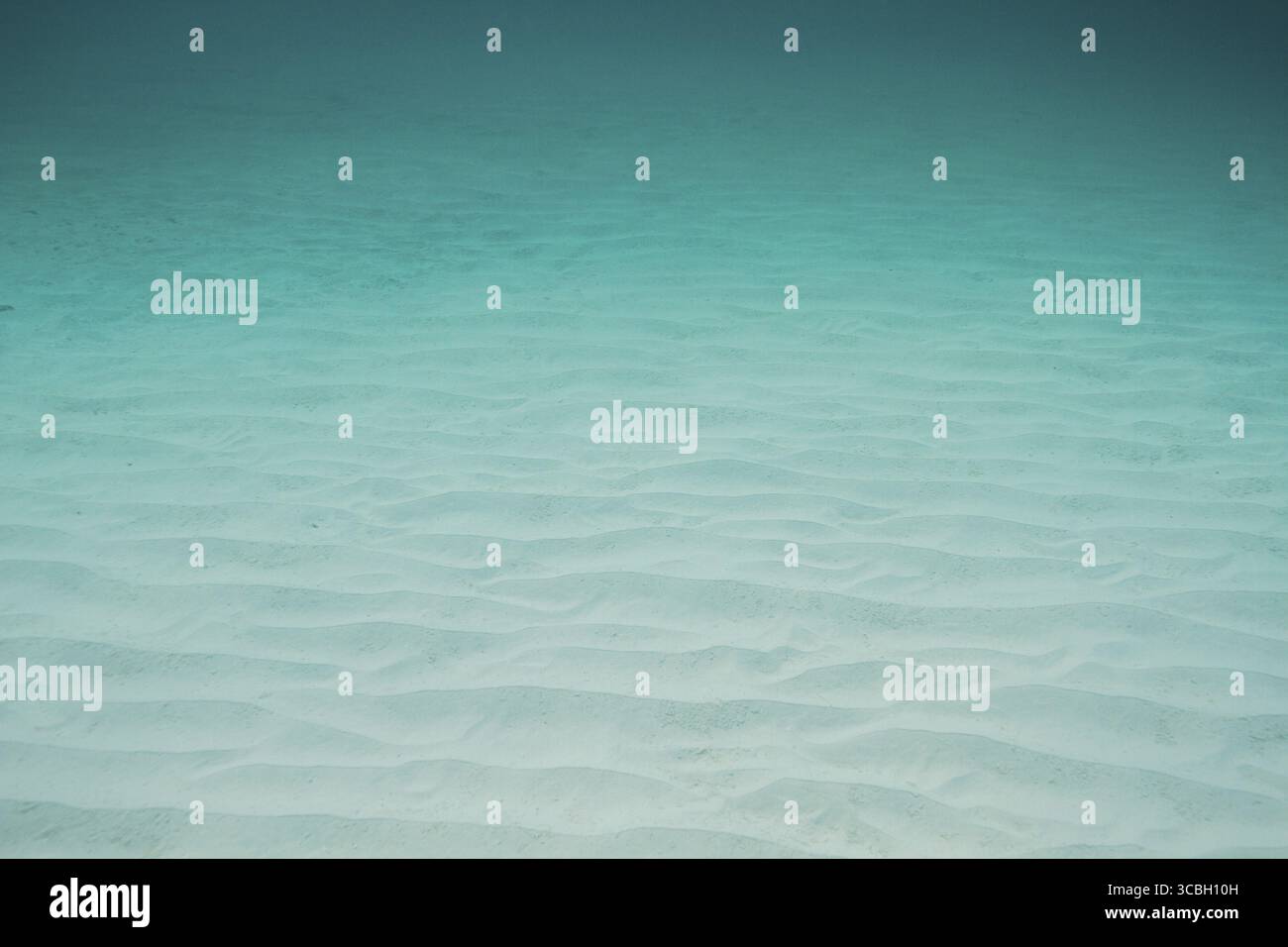 Atlantic ocean sand bottom hi-res stock photography and images - Alamy