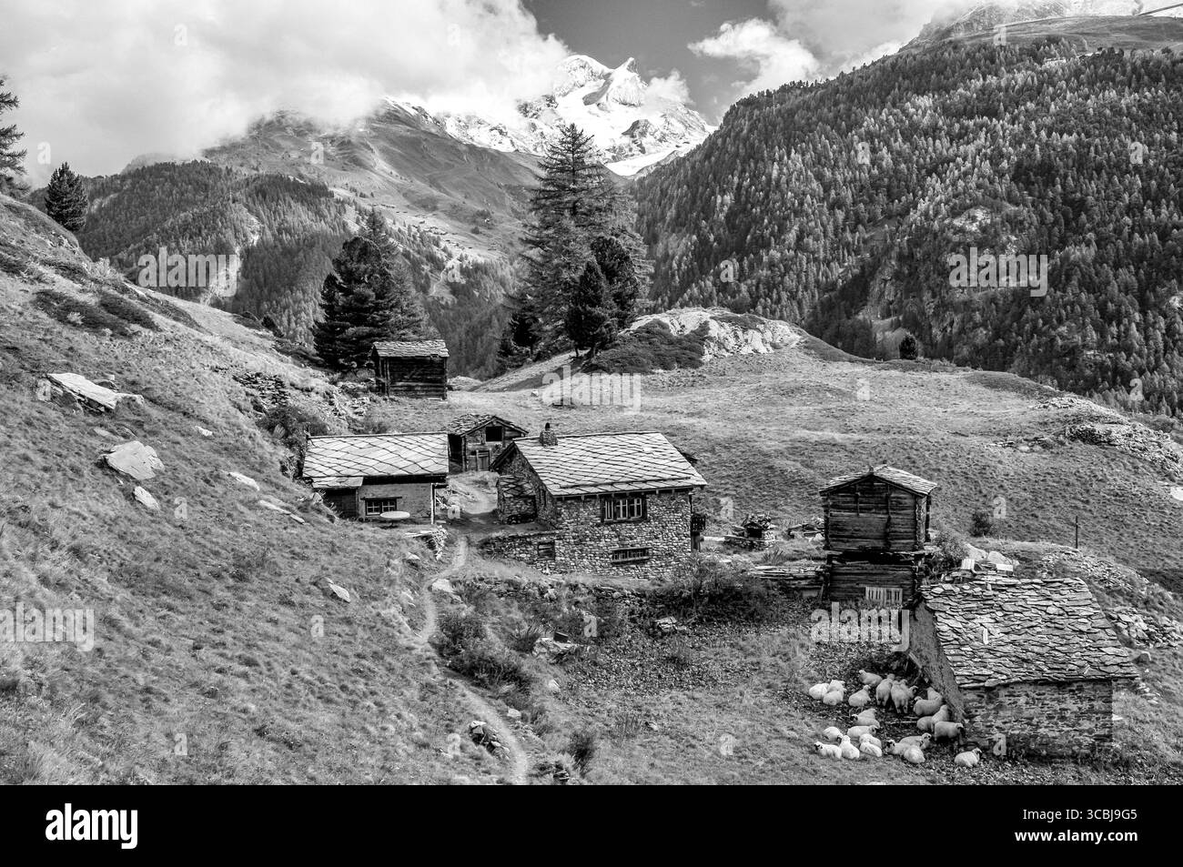 Switzerland valais zermatt monte Black and White Stock Photos & Images ...