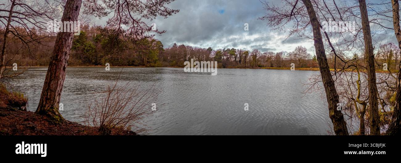 Yearsley woods hi-res stock photography and images - Alamy