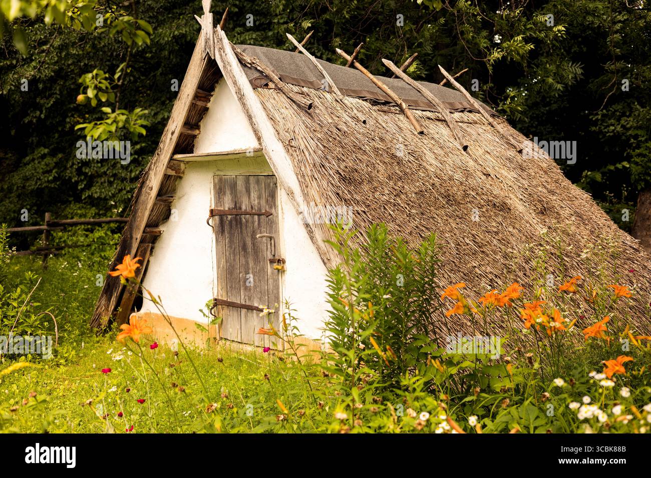 Ukrainian village old cellar hi-res stock photography and images - Alamy