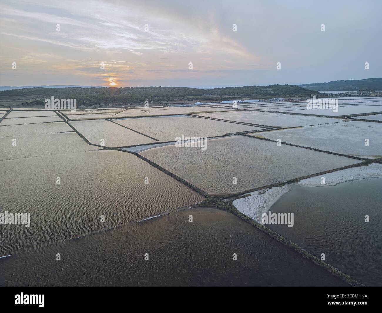 Human eye reflection bird hi-res stock photography and images - Alamy