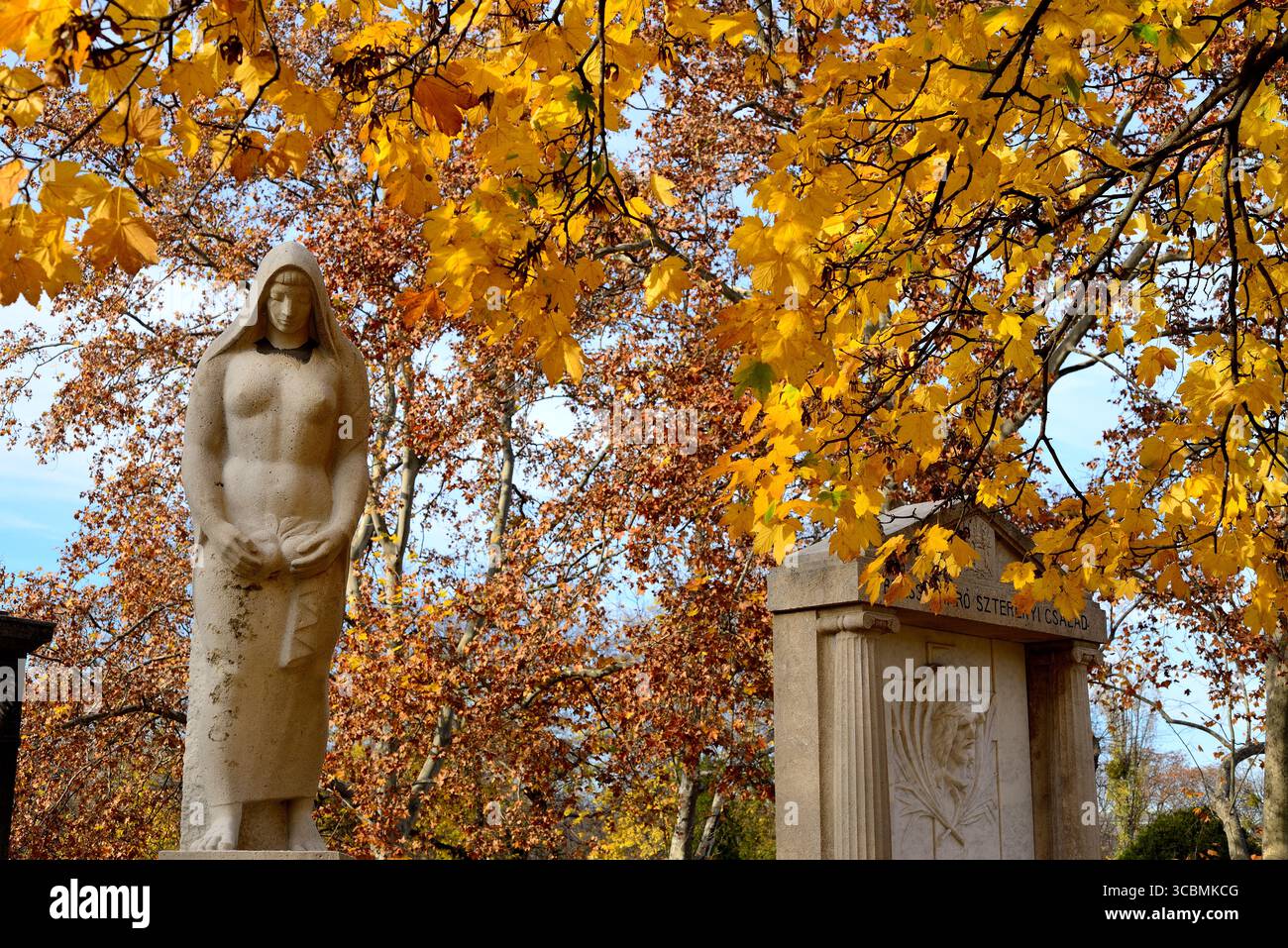 Sculptures and parks in cemetery of Budapest, Hungary Stock Photo - Alamy