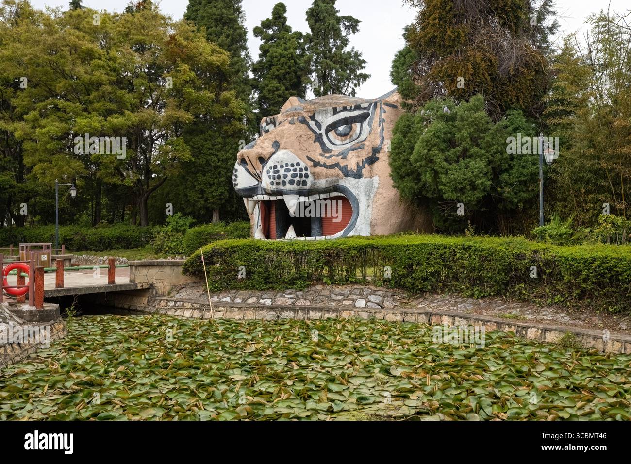 Tiger shaped head hi-res stock photography and images - Alamy