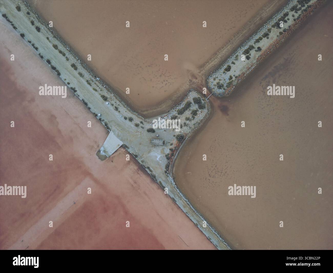 Aerial view of the pink salt flats contrasting with the stark white ...