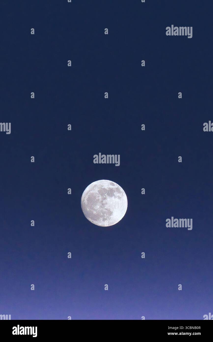Vertical full moon rising during blue hour Stock Photo - Alamy