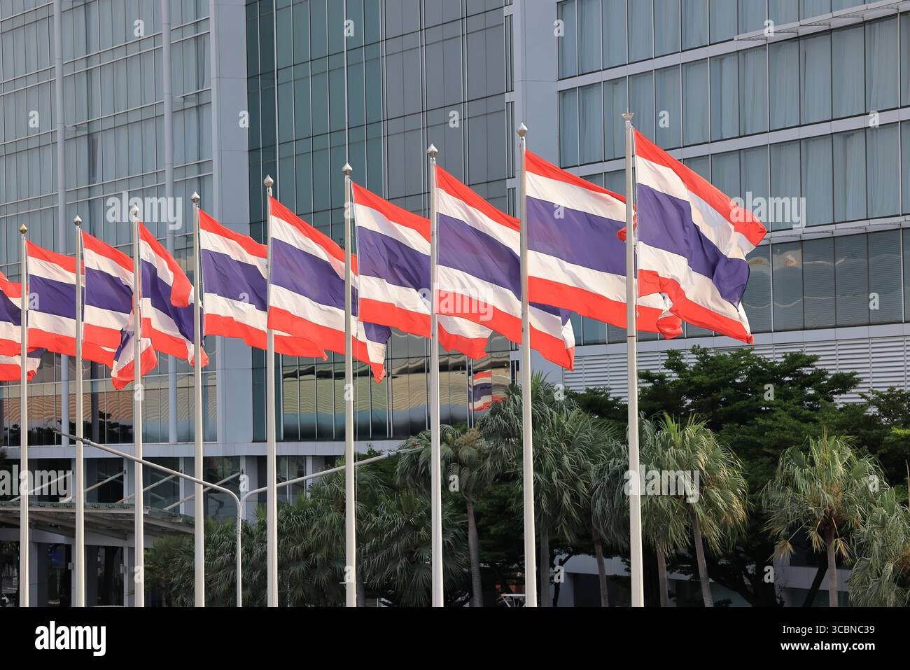 Thai national flags row at Modern building facade Stock Photo - Alamy