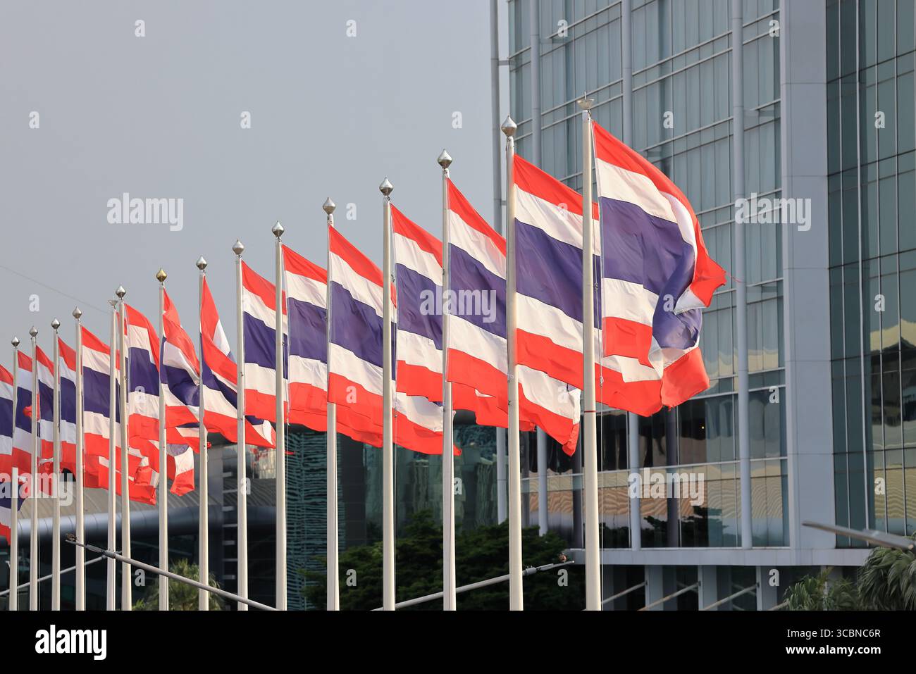 Thai national flags row at Modern building facade Stock Photo - Alamy