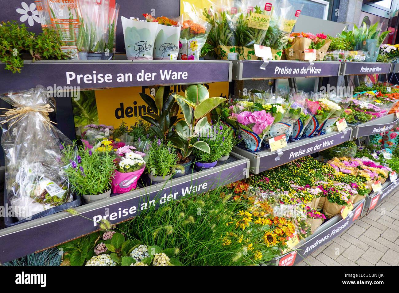 Blumenverkauf vor dem Supermarkt - hier gesehen bei REWE am 05.08.2025 ...