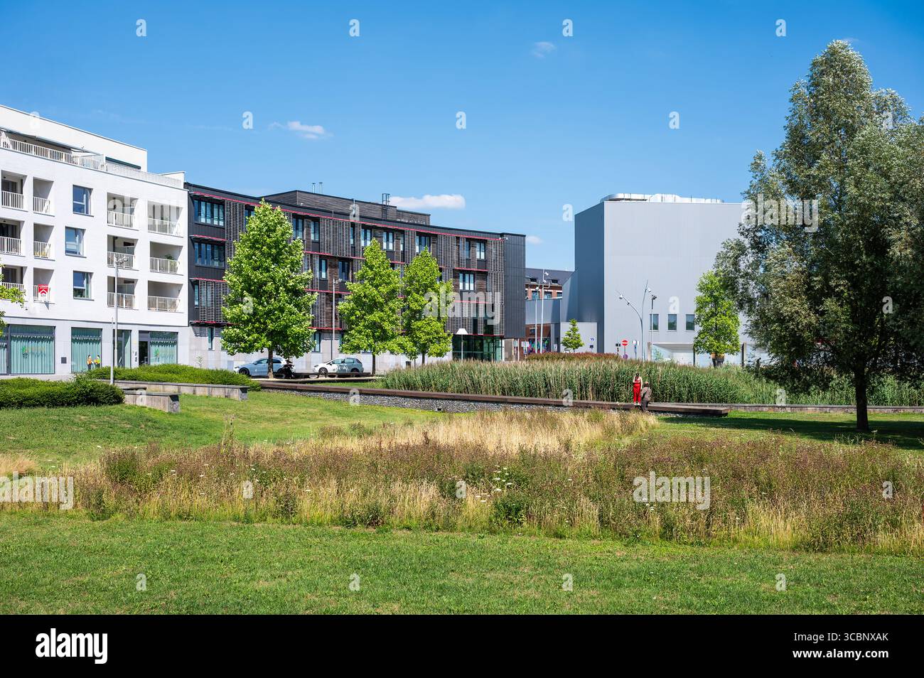 Contemporary apartment blocks in a new developed park in La Louvière ...
