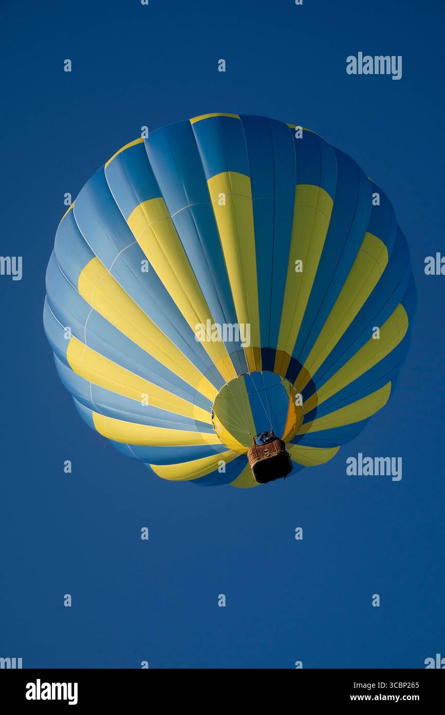 A blue and yellow airborne hot air balloon with crew in the basket seen ...