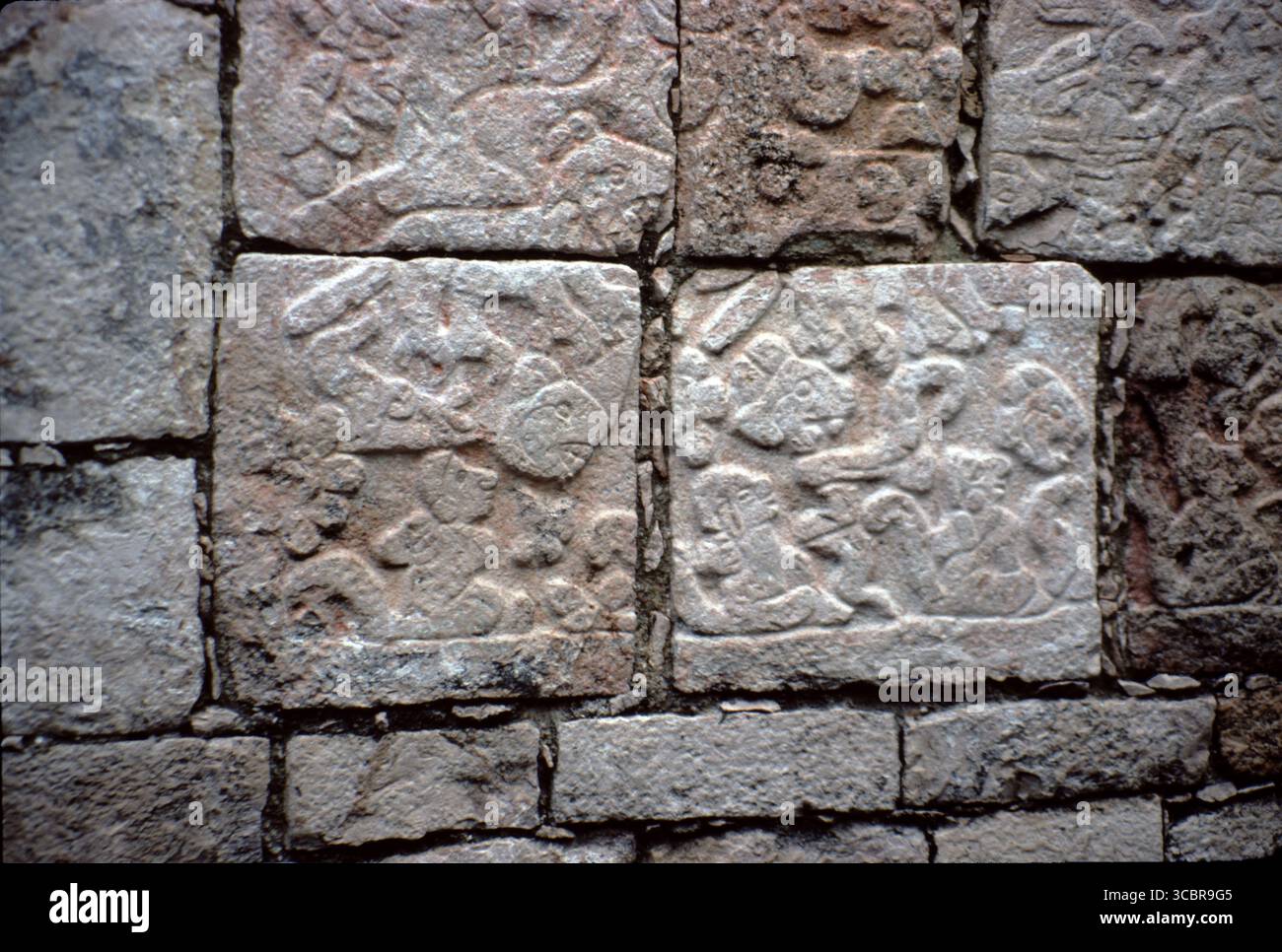 Uxmal Yucatan Mexico. 12/27/1985. Uxmal ruins. Occupation estimated ...