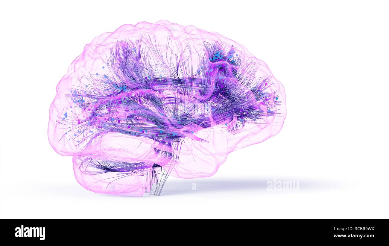 Conceptual Illustration Of Connections Within The Brain Based On Advanced Diffusion Tensor
