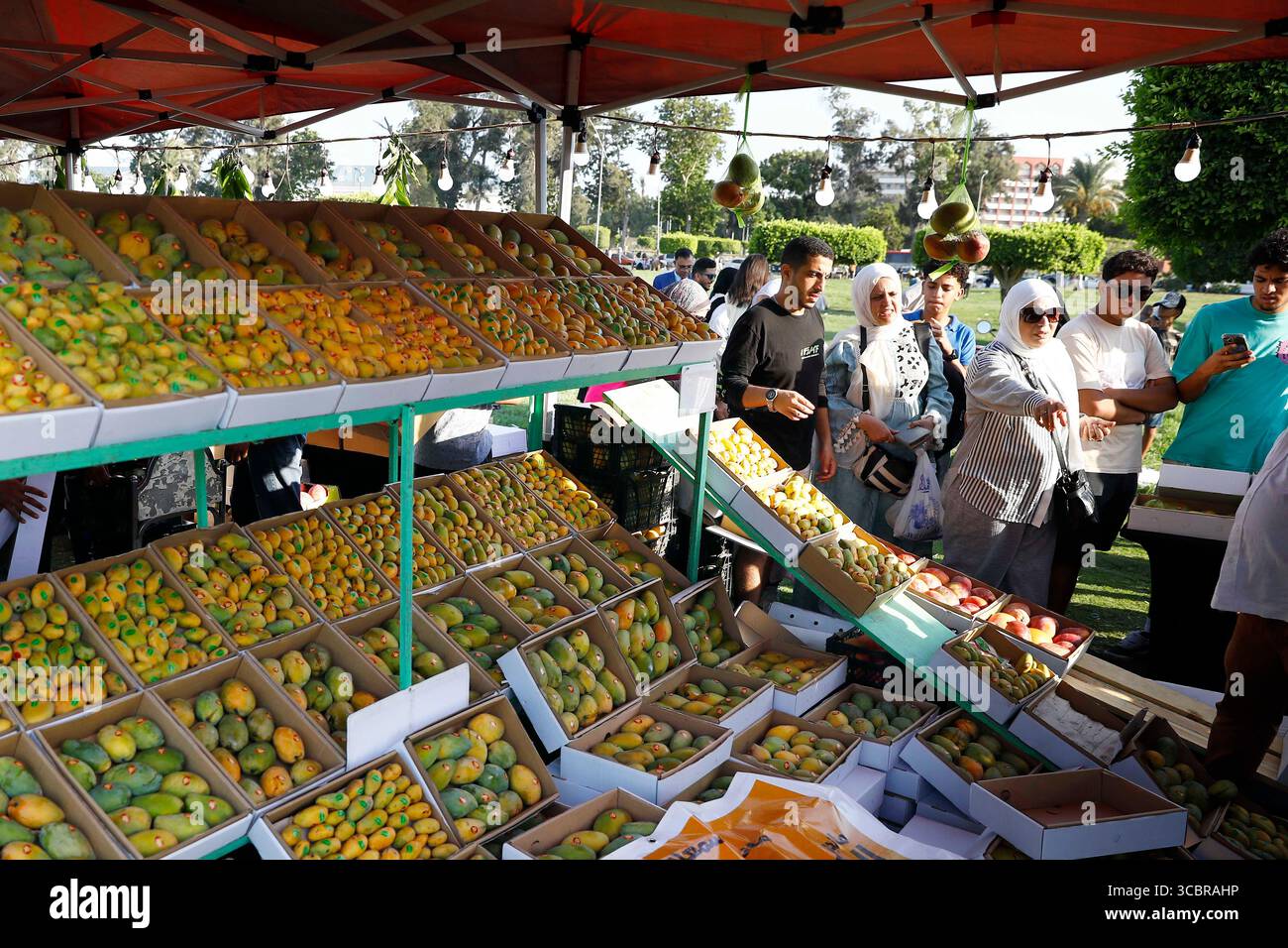 (250809) -- CAIRO, Aug. 9, 2025 (Xinhua) -- This photo taken on Aug. 8 ...