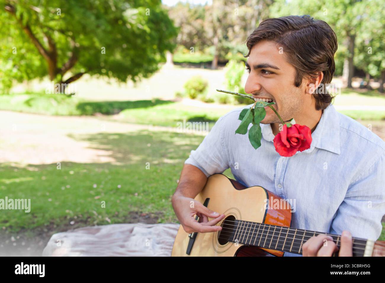 Blue acoustic guitar white rose hi-res stock photography and images - Alamy