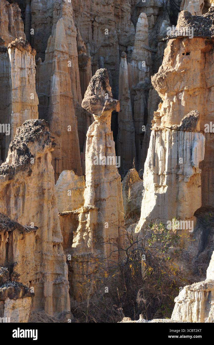 Close-up view of tall sandstone pillars in Yuanmou Earth Forest, Yunnan ...