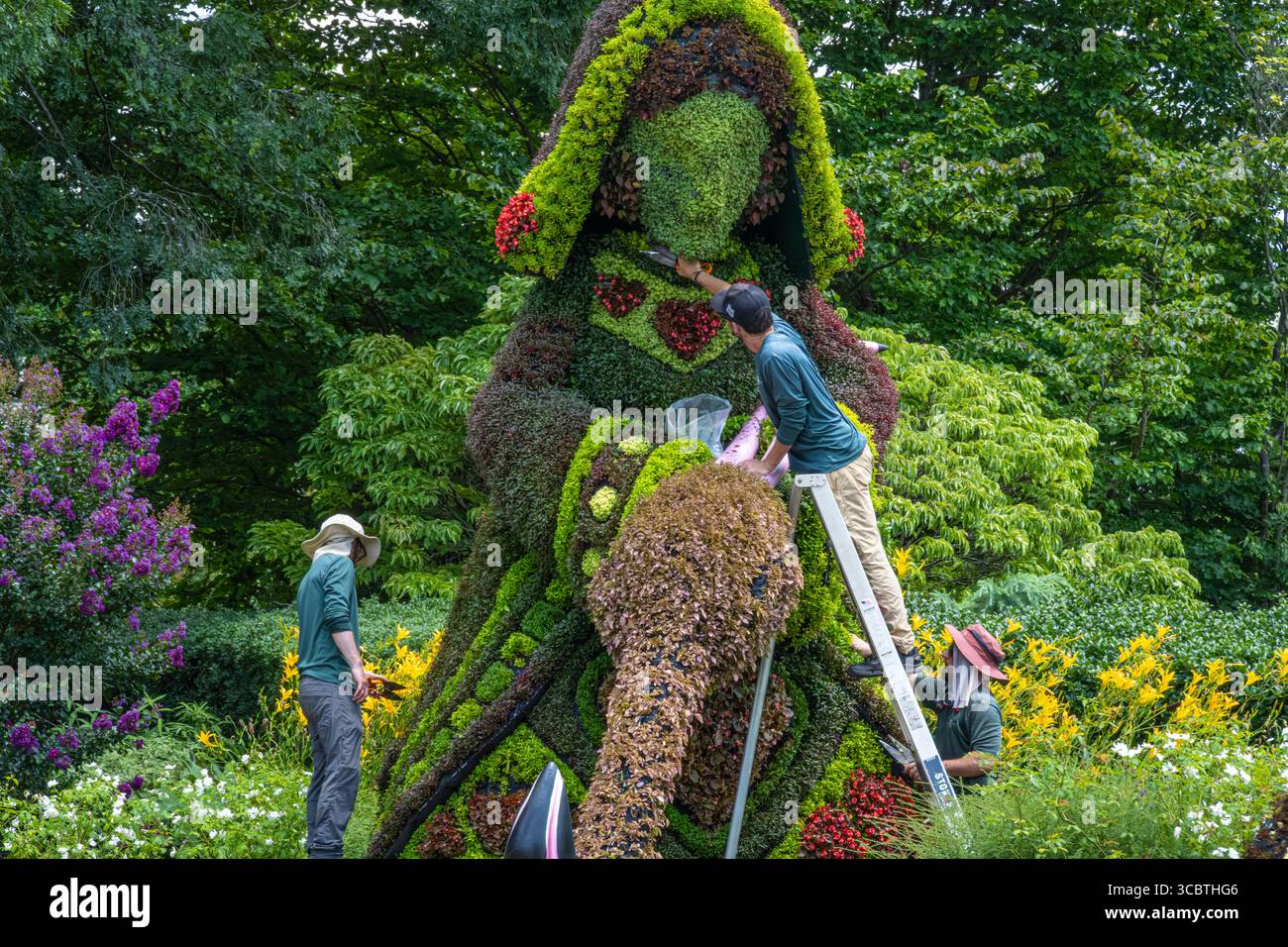 Grooming mosaiculture hi-res stock photography and images - Alamy
