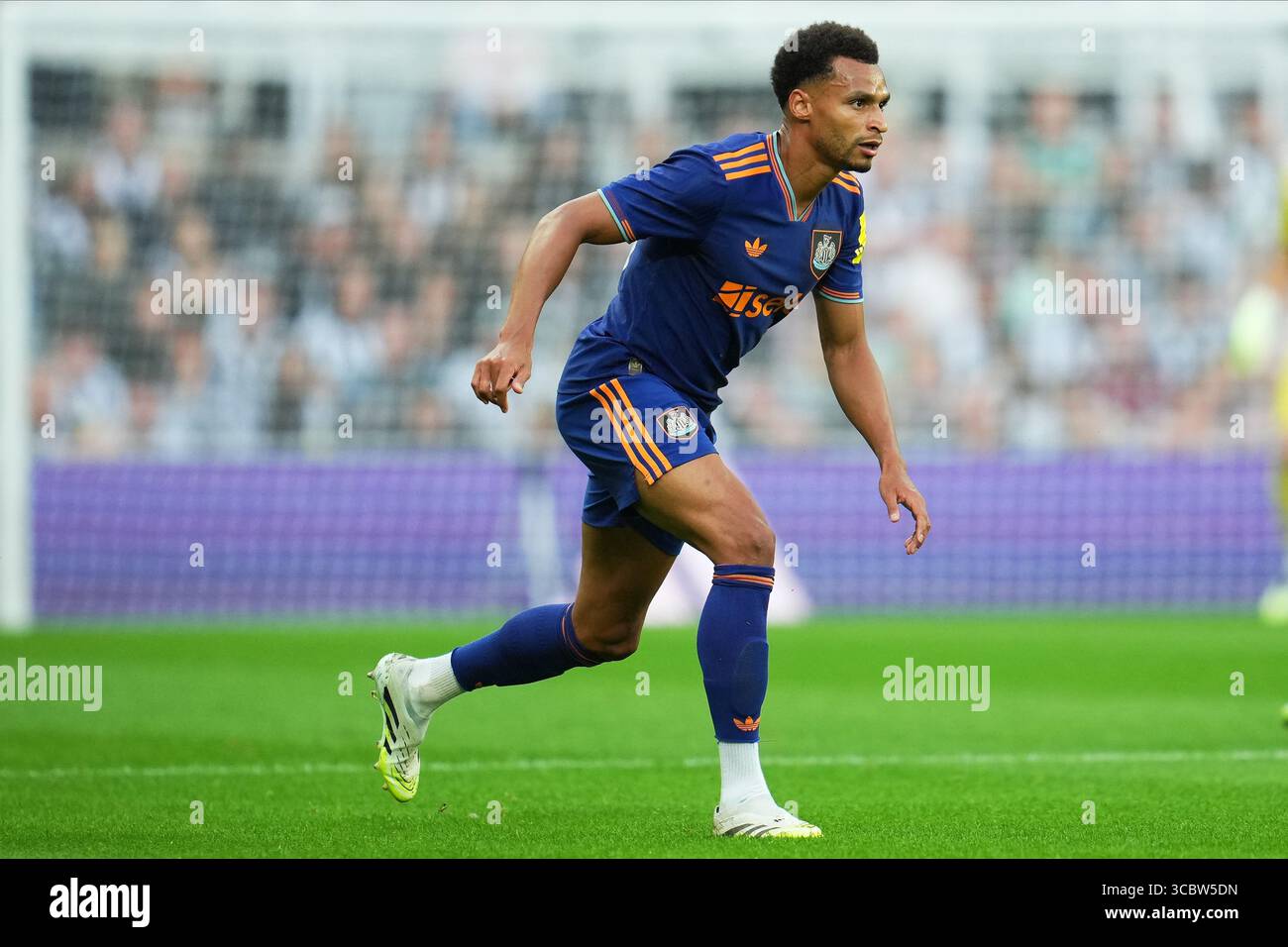 Jacob Murphy of Newcastle United Stock Photo - Alamy