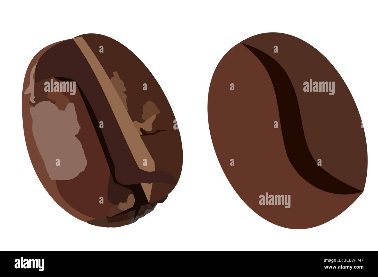 Arabica coffee beans on Stock Vector Images - Alamy