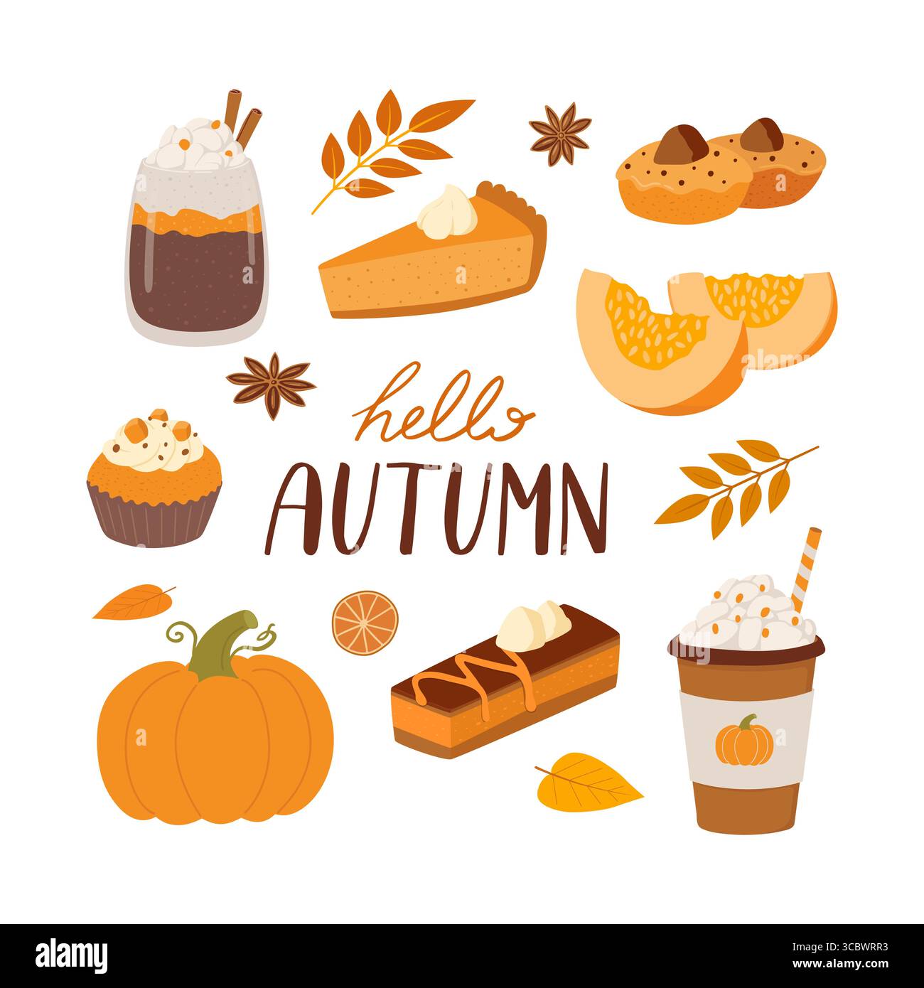 Set of pumpkin spice latte, pie, squash, cake, soup, smoothie. Autumn ...