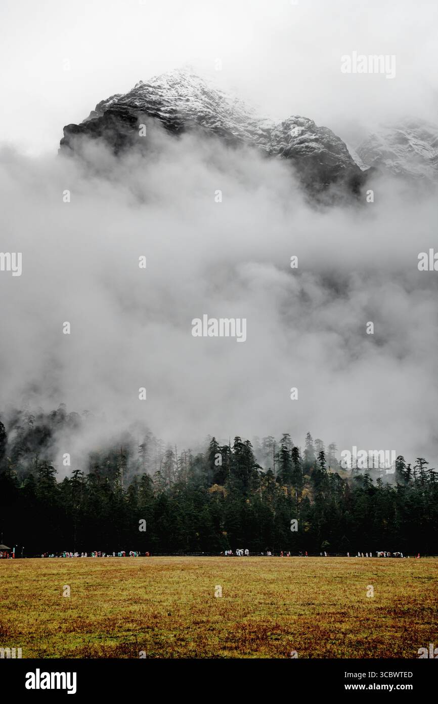 View golden mist drapes hi-res stock photography and images - Alamy