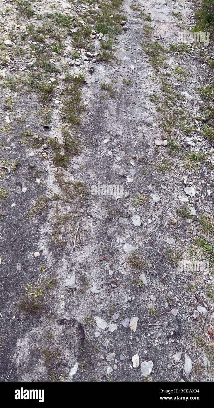 Dry dirt road texture with natural patterns Stock Photo - Alamy