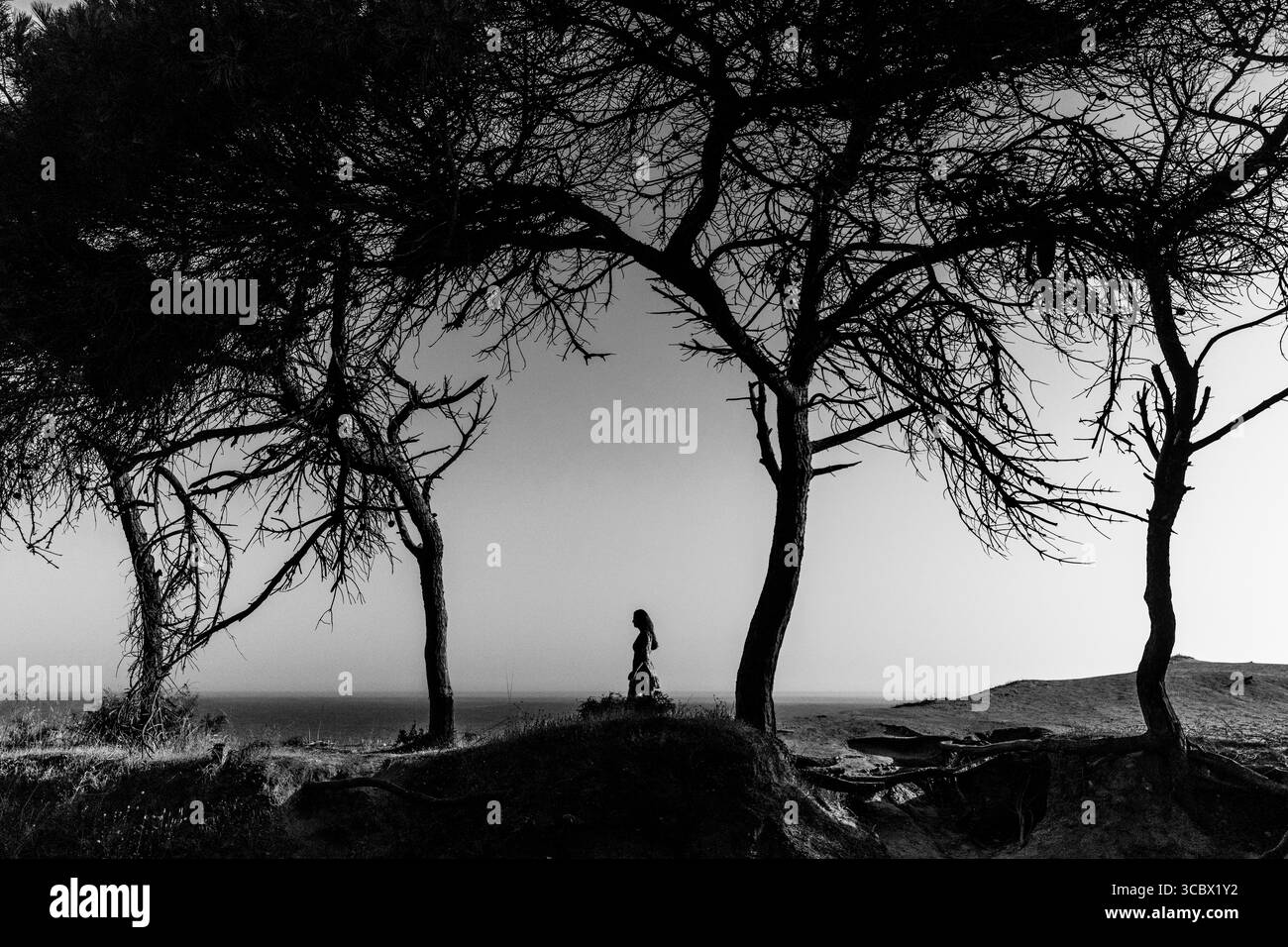 Woman walks past sunset Black and White Stock Photos & Images - Alamy