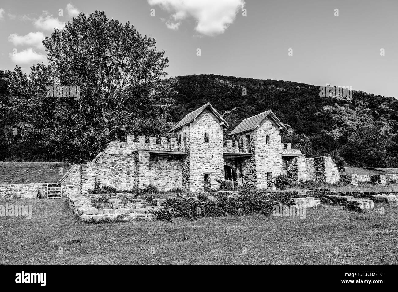 Ancient ruins on water Black and White Stock Photos & Images - Alamy