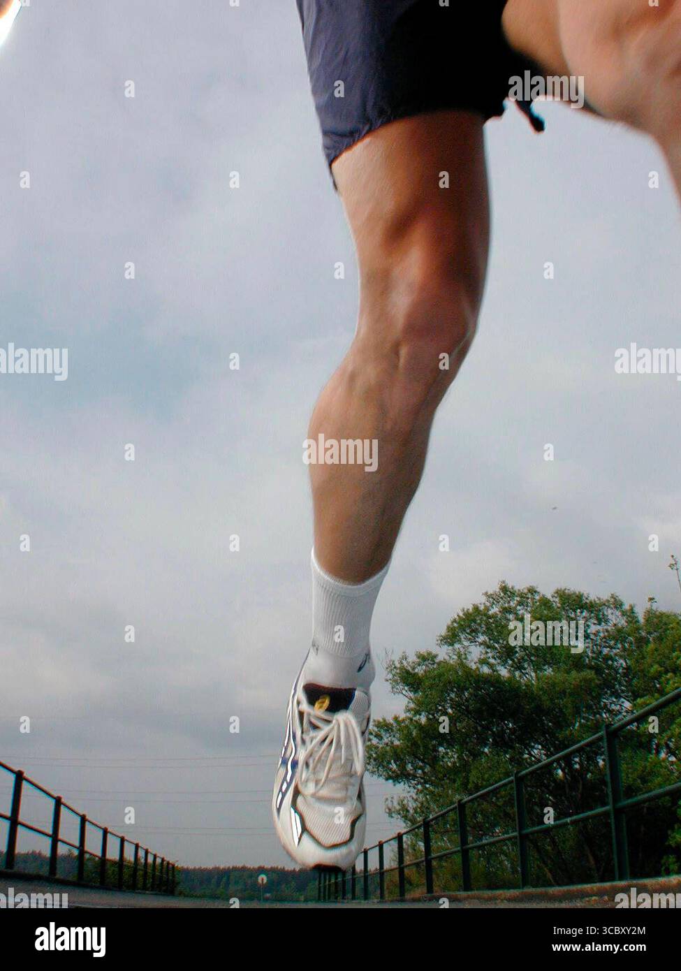legs when running or jogging, outdoor sports and physical exercise legs ...