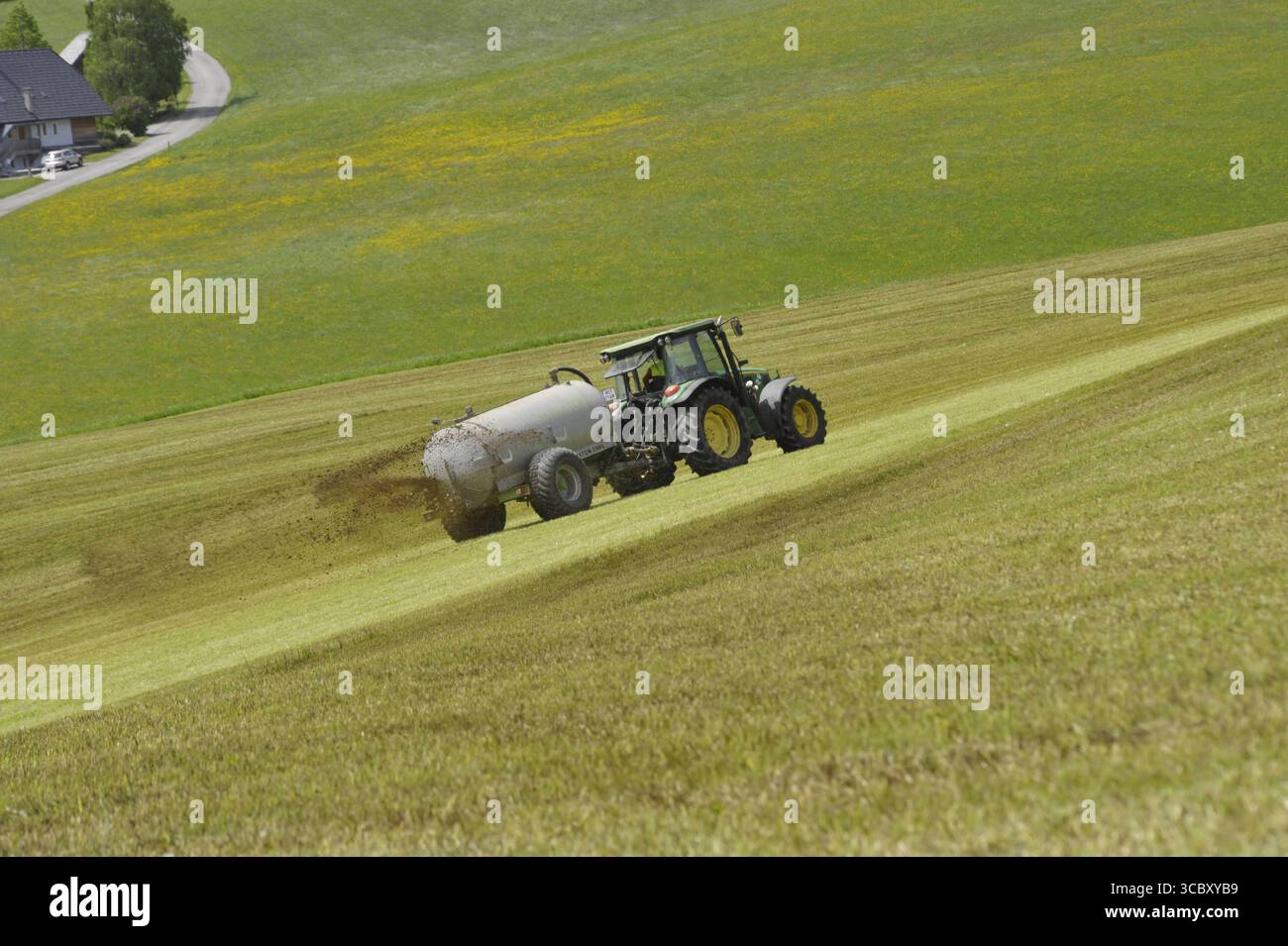 stable manure from animals as fertilizer in farming and livestock ...