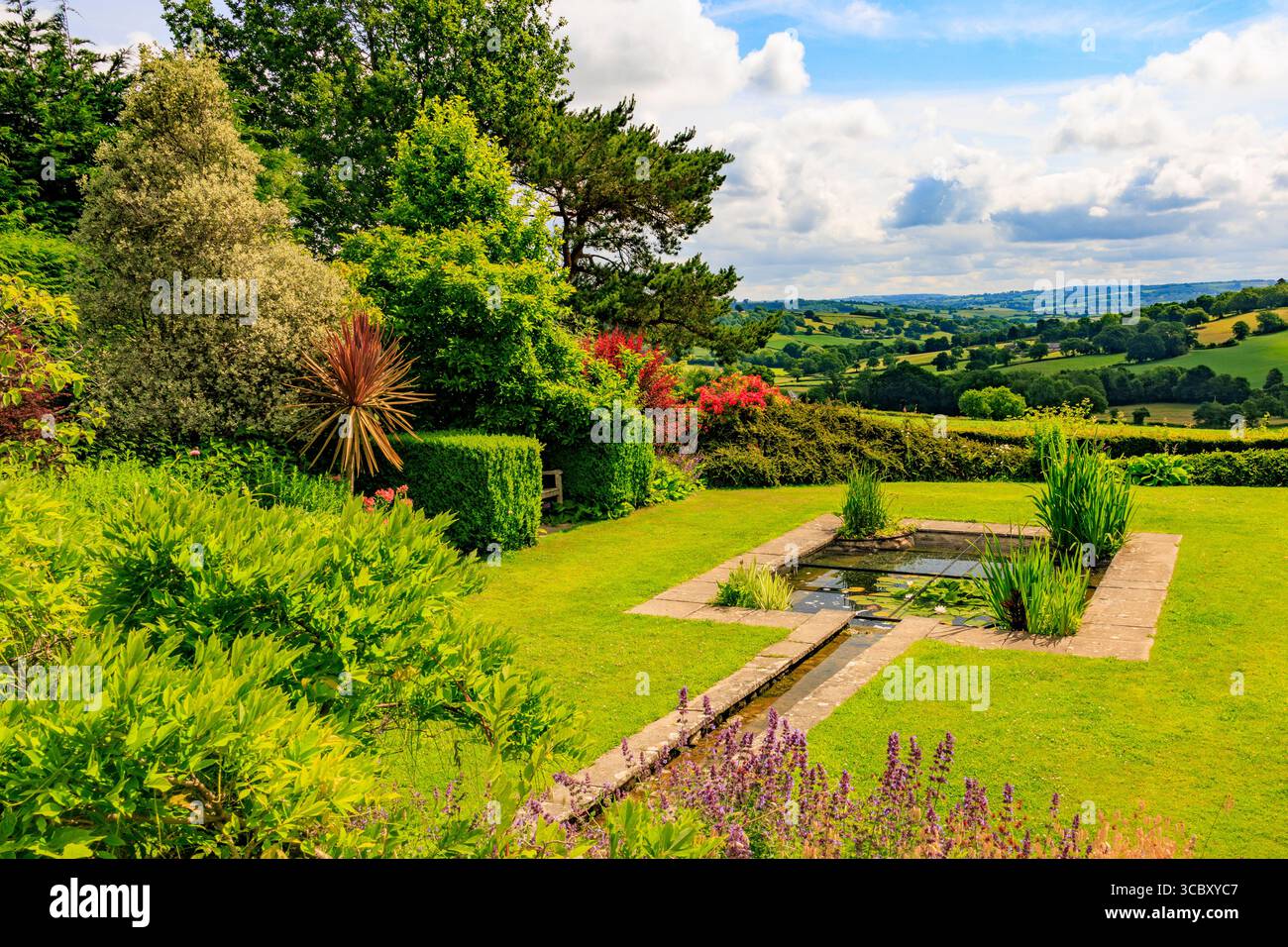 A colourful summer display in the Millennium Garden at Burrow Farm ...