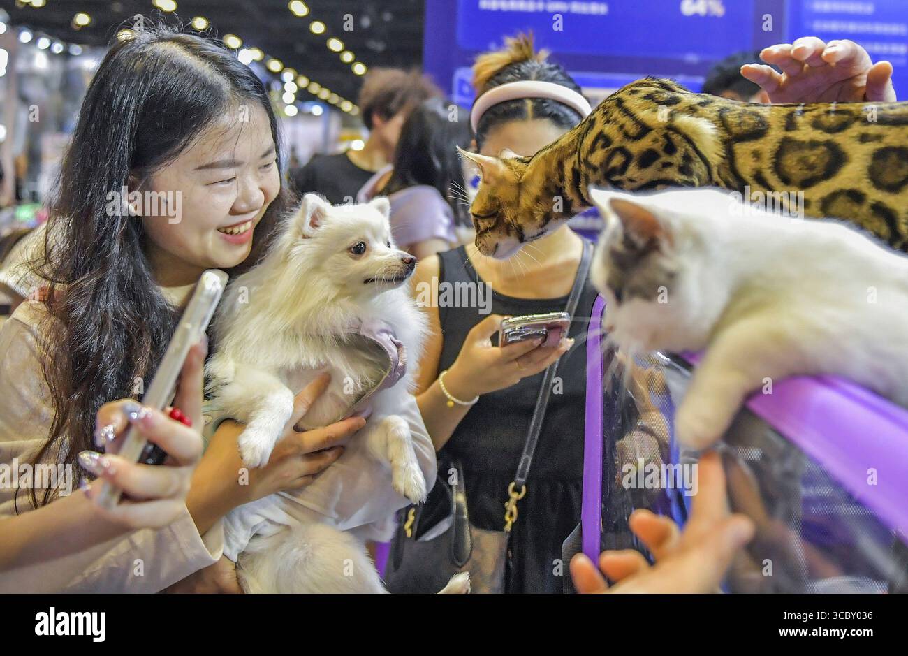 Visitors check out cats during a pet expo in Nanning in south China's ...