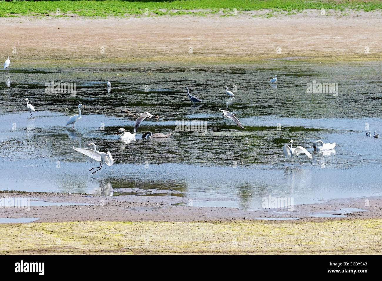 How deep is chew valley lake hi-res stock photography and images - Alamy