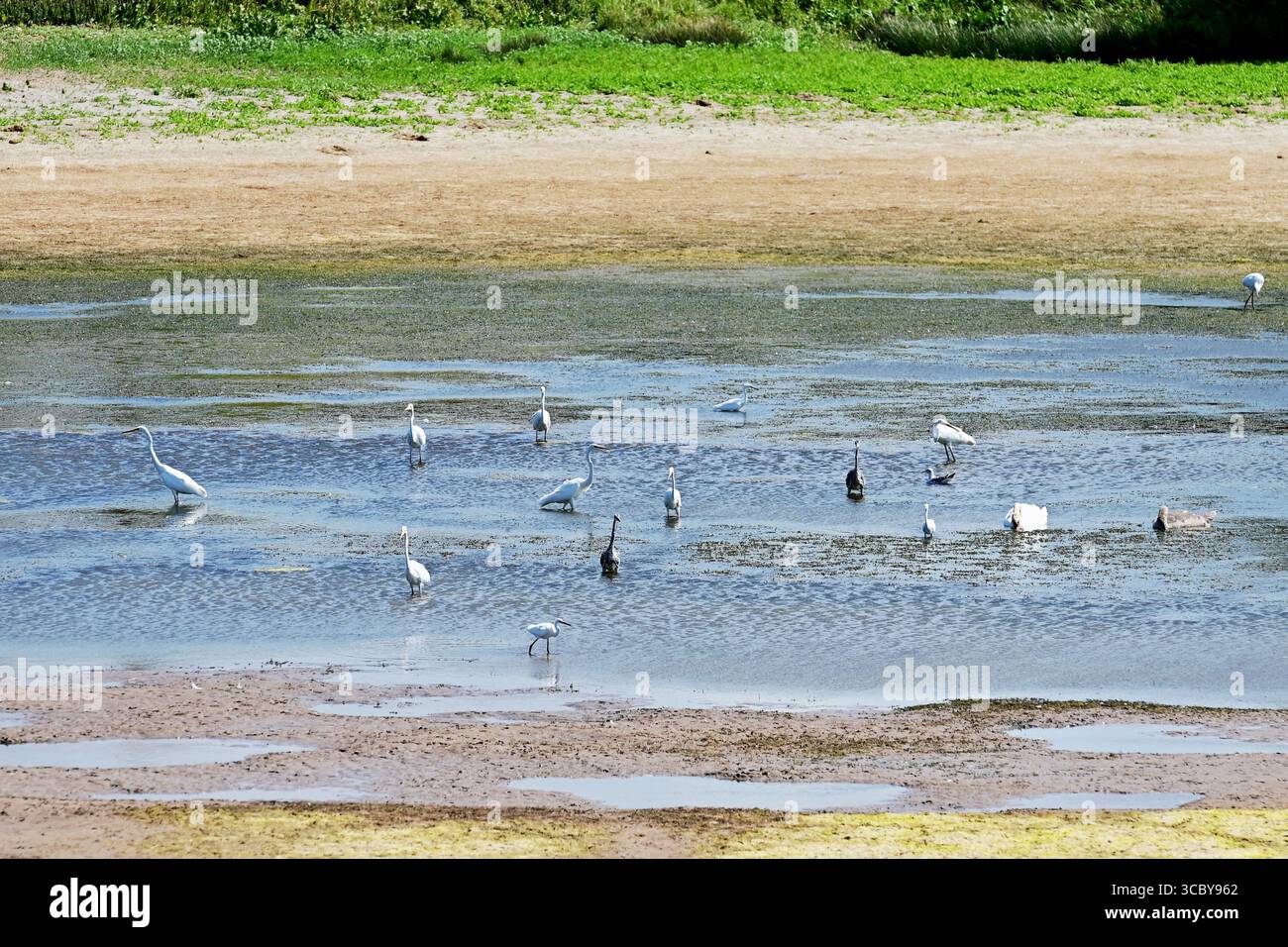 Is chew valley safe to swim in hi-res stock photography and images - Alamy