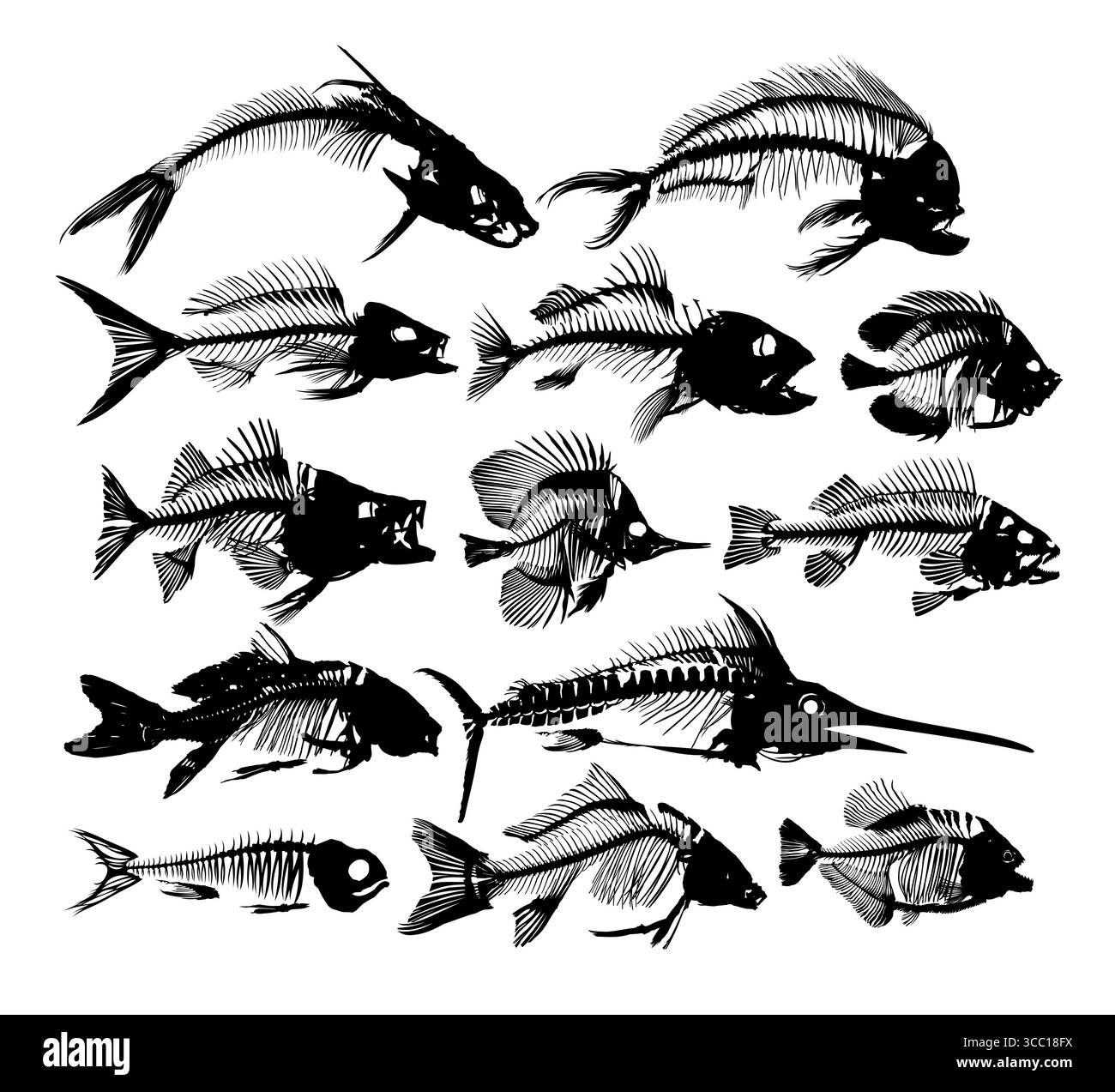 A Set Skeletons of predatory sea fishes Stock Vector Image & Art - Alamy