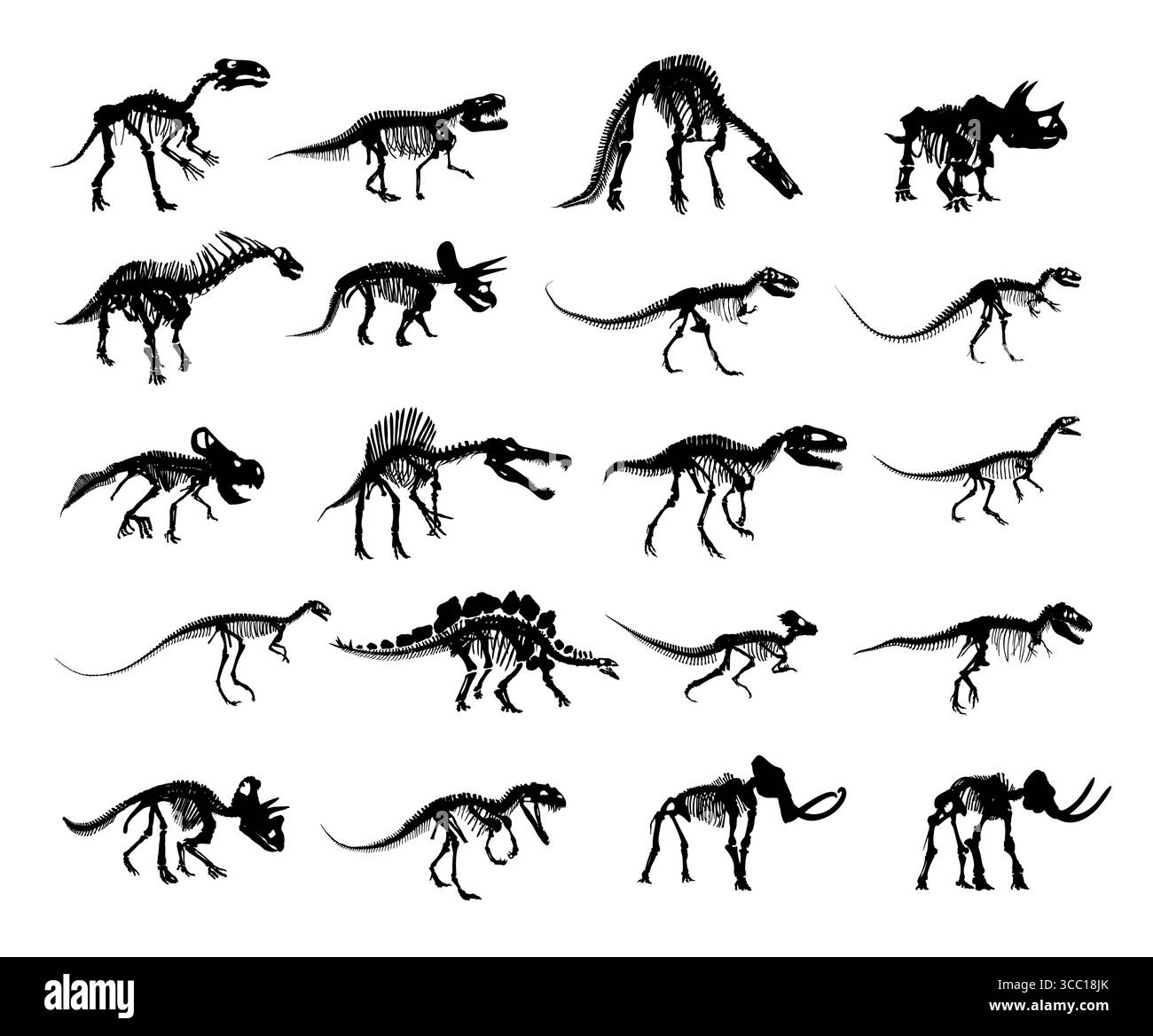 Skeleton mammoth Black and White Stock Photos & Images - Alamy