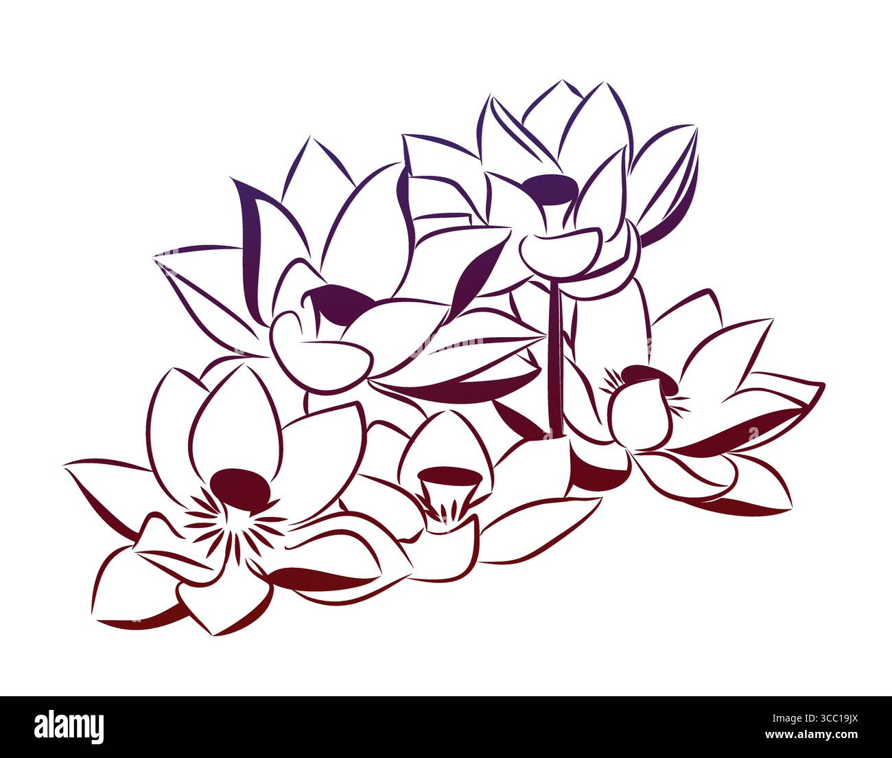 Flower water lilies Stock Vector Images - Alamy