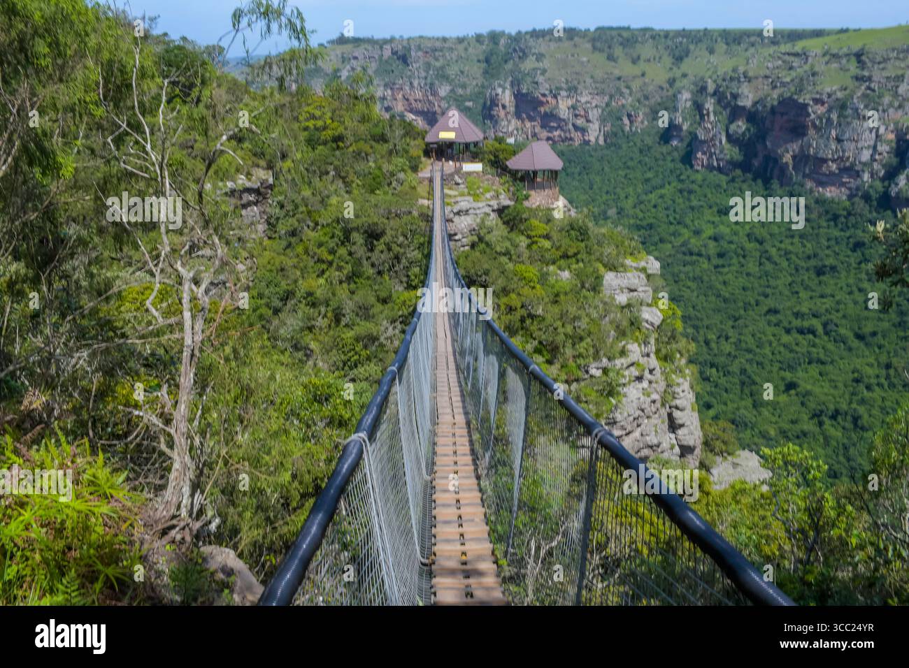 Lake Eland Nature reserve in Oribi gorge with a hanging suspension ...