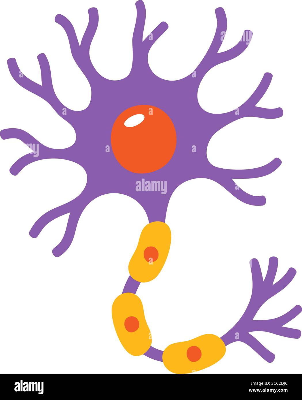 Bright neuron in purple and orange, showing nerve cell structure with ...