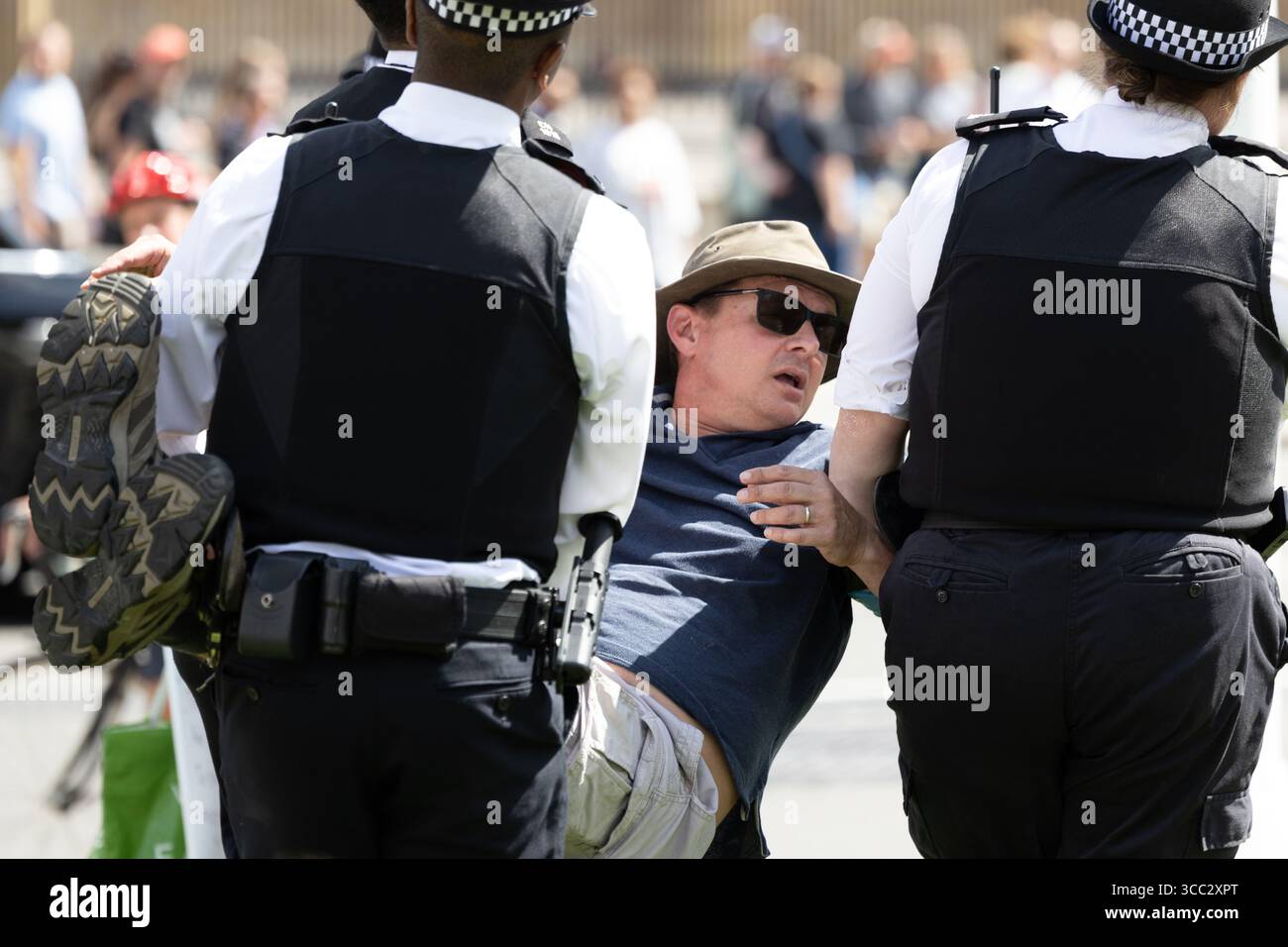Activist arrested in Parliament Square for holding up a sign in support ...
