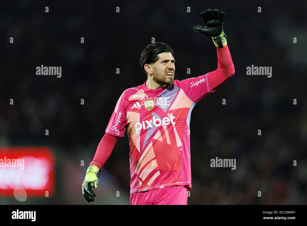 RIO DE JANEIRO, BRAZIL - AUGUST 09: Goalkeeper Agustin Rossi of ...