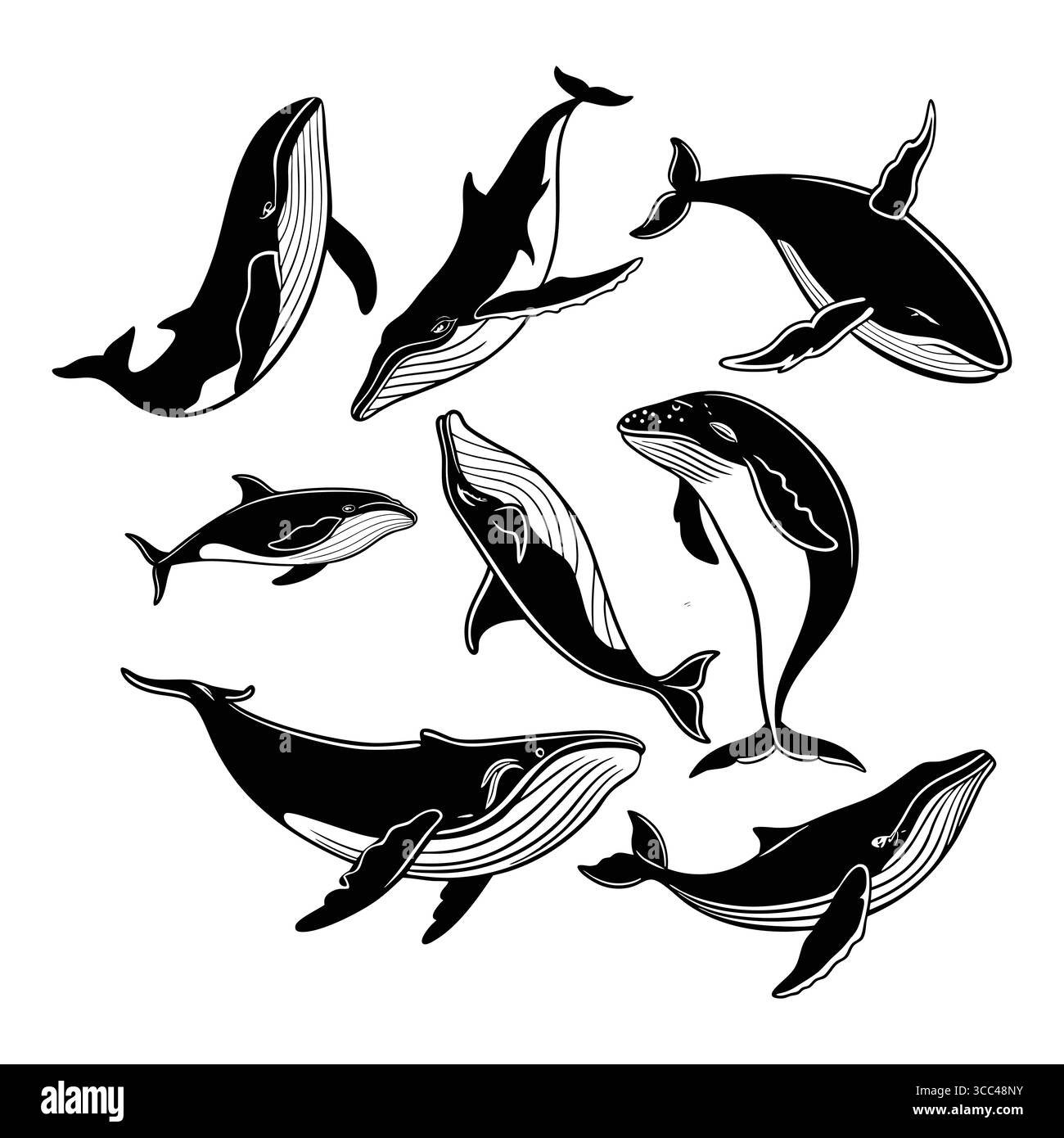 Marine life whales swimming Stock Vector Images - Alamy