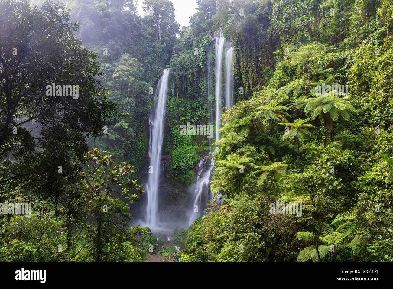 Triple waterfall, Sekumpul waterfall in Northern Bali. Surrounded by ...