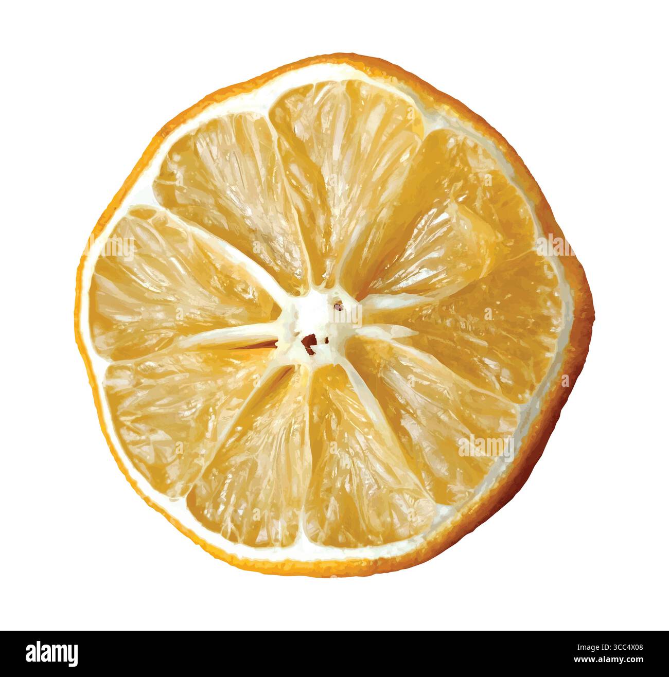 Fresh ripe oranges fruits Stock Vector Images - Alamy